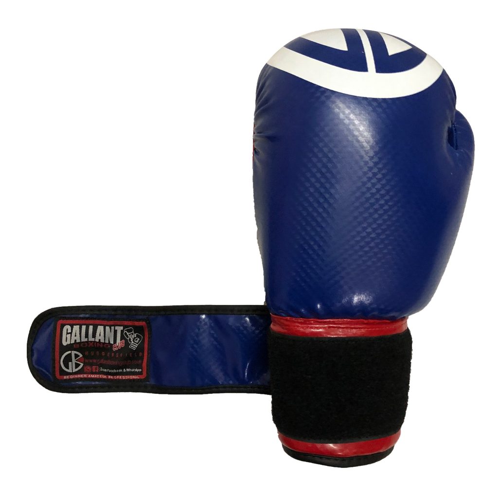 TRAINING BOXING GLOVES IN BLUE & BLACK - Gallant Boxing Equipment Store